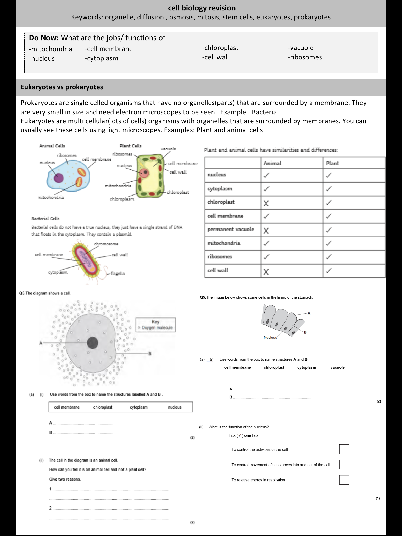 Biology – Science Doctor